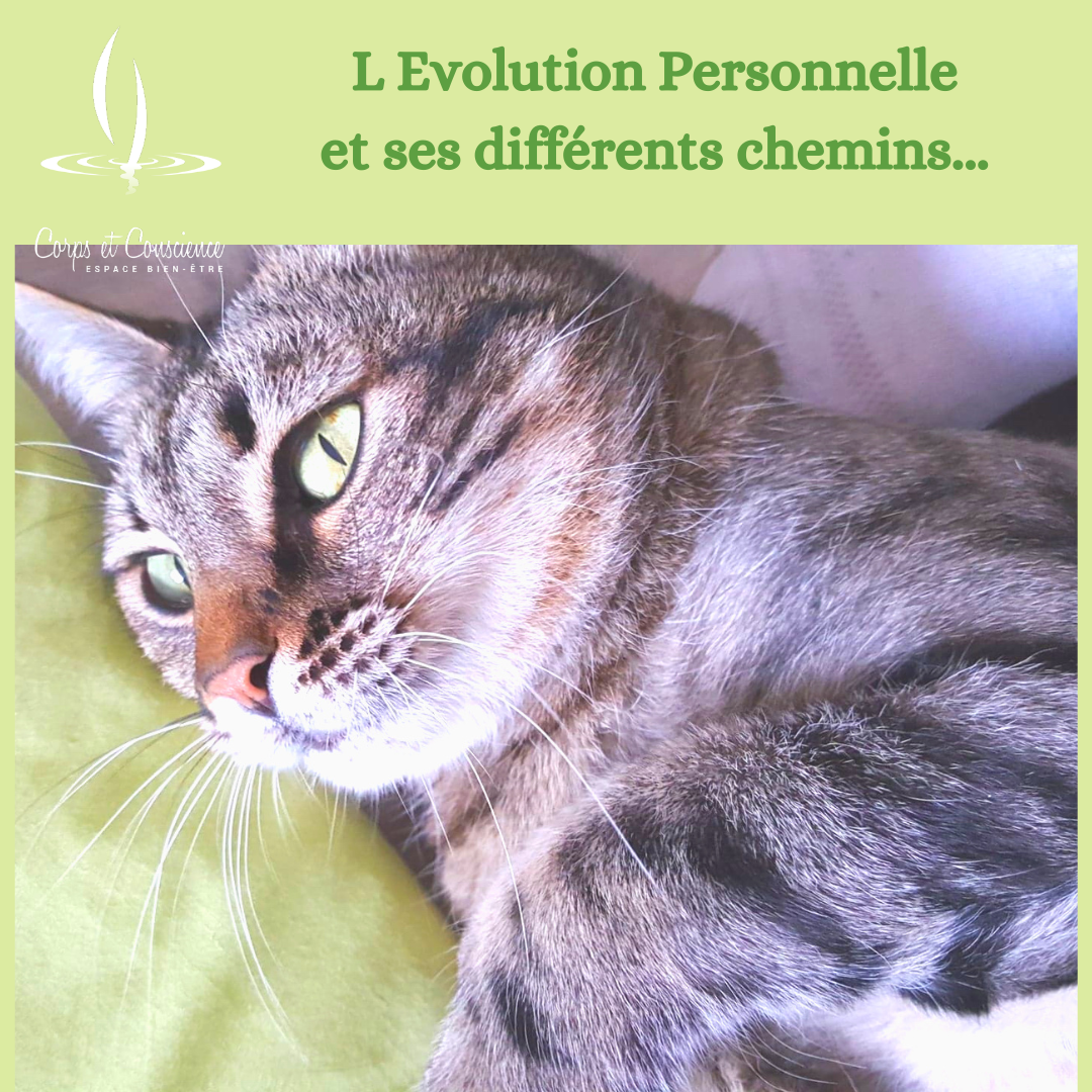 L Evolution Personnelle et ses différents Chemins