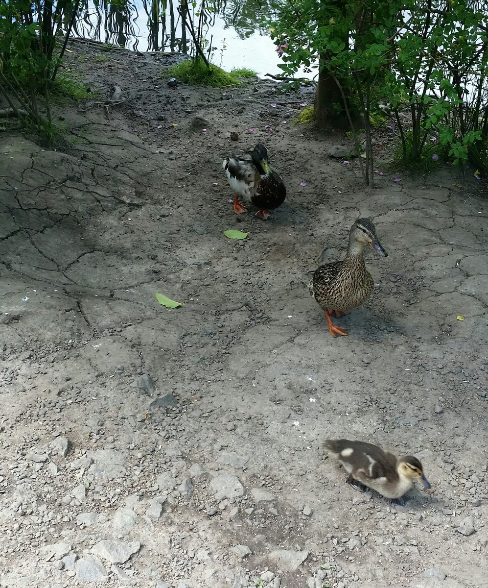 Mozzer Matters: Always Meet Your Heroes