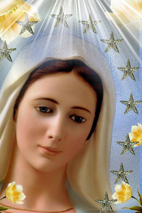® Virgen María, Ruega por Nosotros ®: IMÁGENES DE LA VIRGEN MARÍA