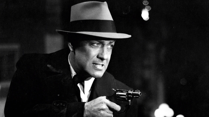 FILM NOIR BLOG: Rogue Cop (1954)