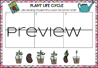 1st Grade Hip Hip Hooray!: Plants..."Growing" our knowledge of plants!