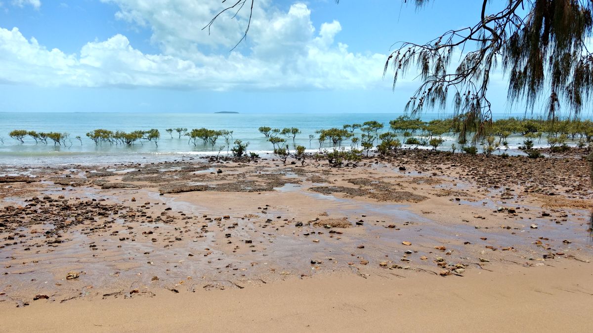 Queensland Coast: Postcard from Clairview, Central Queensland