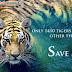Save Tigers Slogans in English Poster Wallpapers | Save Tigers Quotes ...