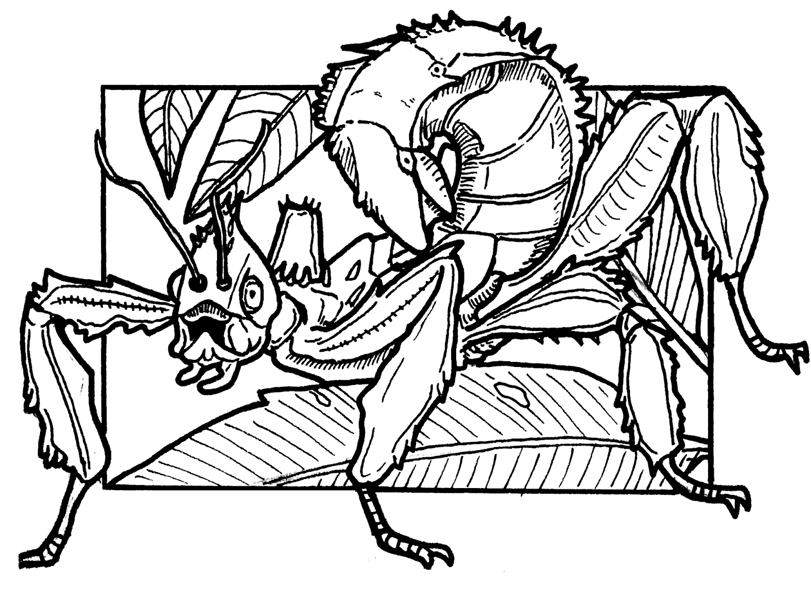 ZooTrophy Animal-a-Day Database: #726: Stick Insect