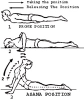 Yoga a way to health: Bhujangasana,the cobra