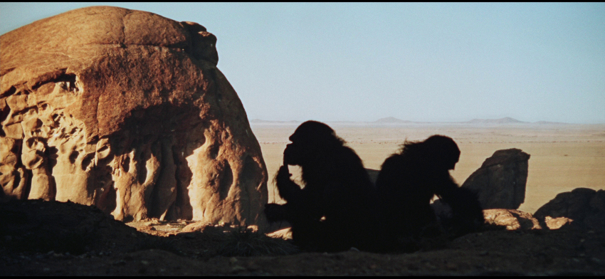 Laura Jesson en trenes