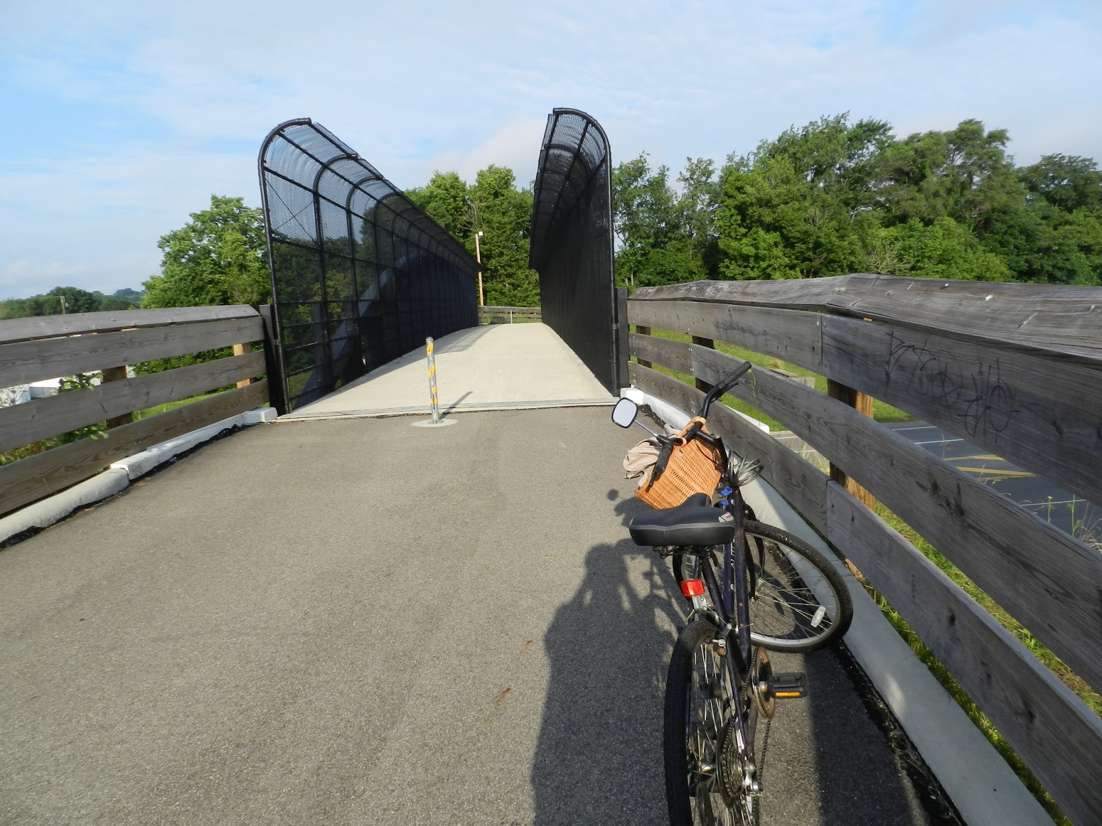 Birds, Bugs, and Butterflies, OH MY: Bike Ride!