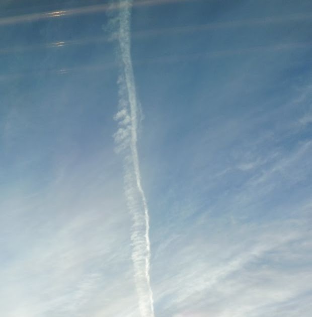 The Art and Science of Phil the Forecaster: Weather Watching Guide ...