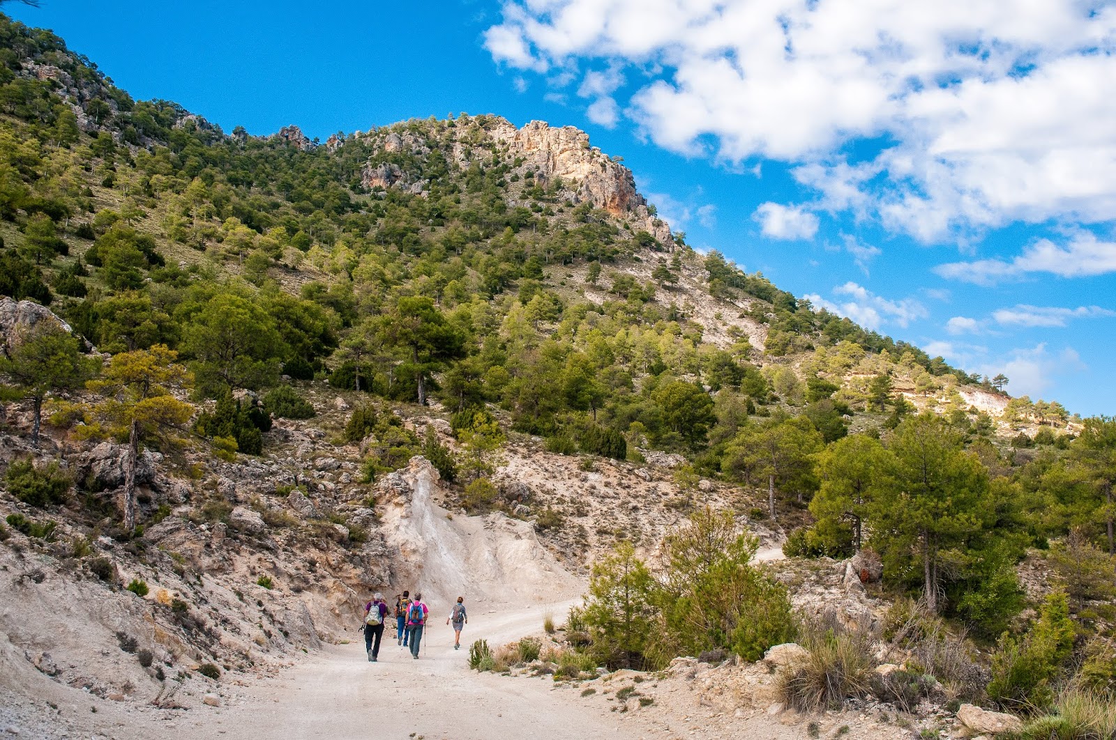 MONTES MURCIANOS: CERRO LOBO