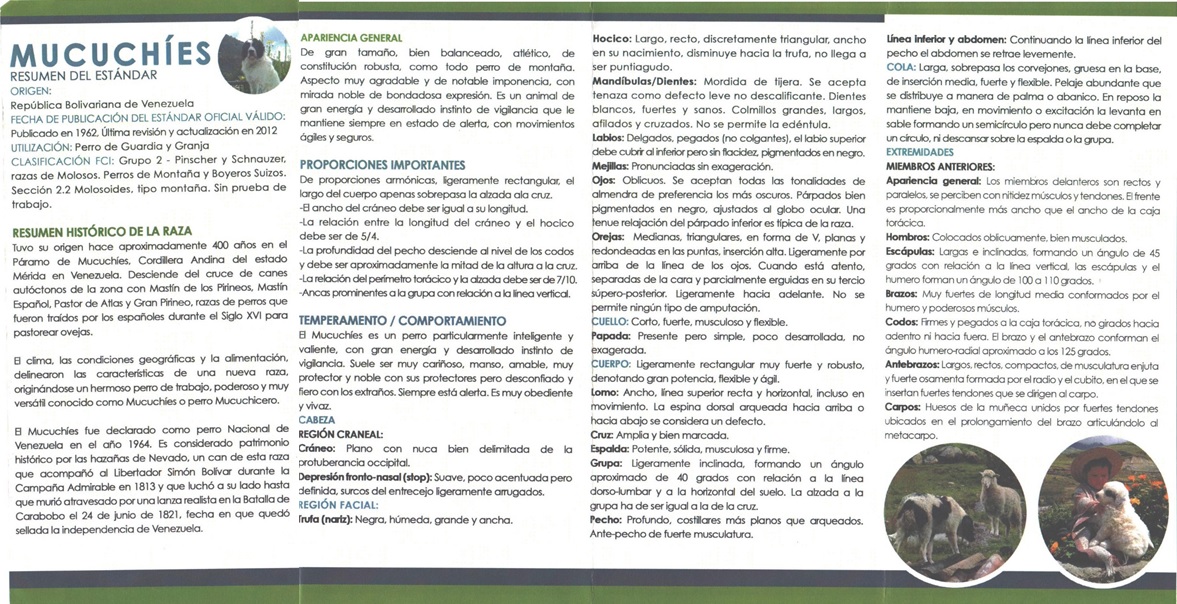 * CLUB CANINO DEL ESTADO ARAGUA *: Perro mucuchíes: Raza canina oficial ...