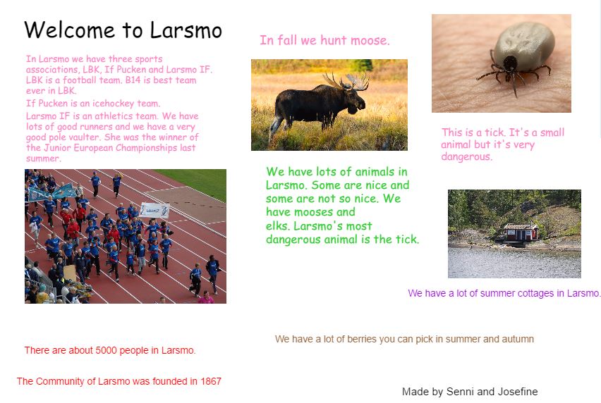 Bridging Cultures: Let's Learn about Larsmo