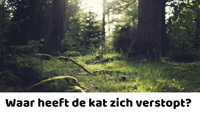 Optische illusies en gezichtsbedrog: Bijzonder optisch bedrog en ...