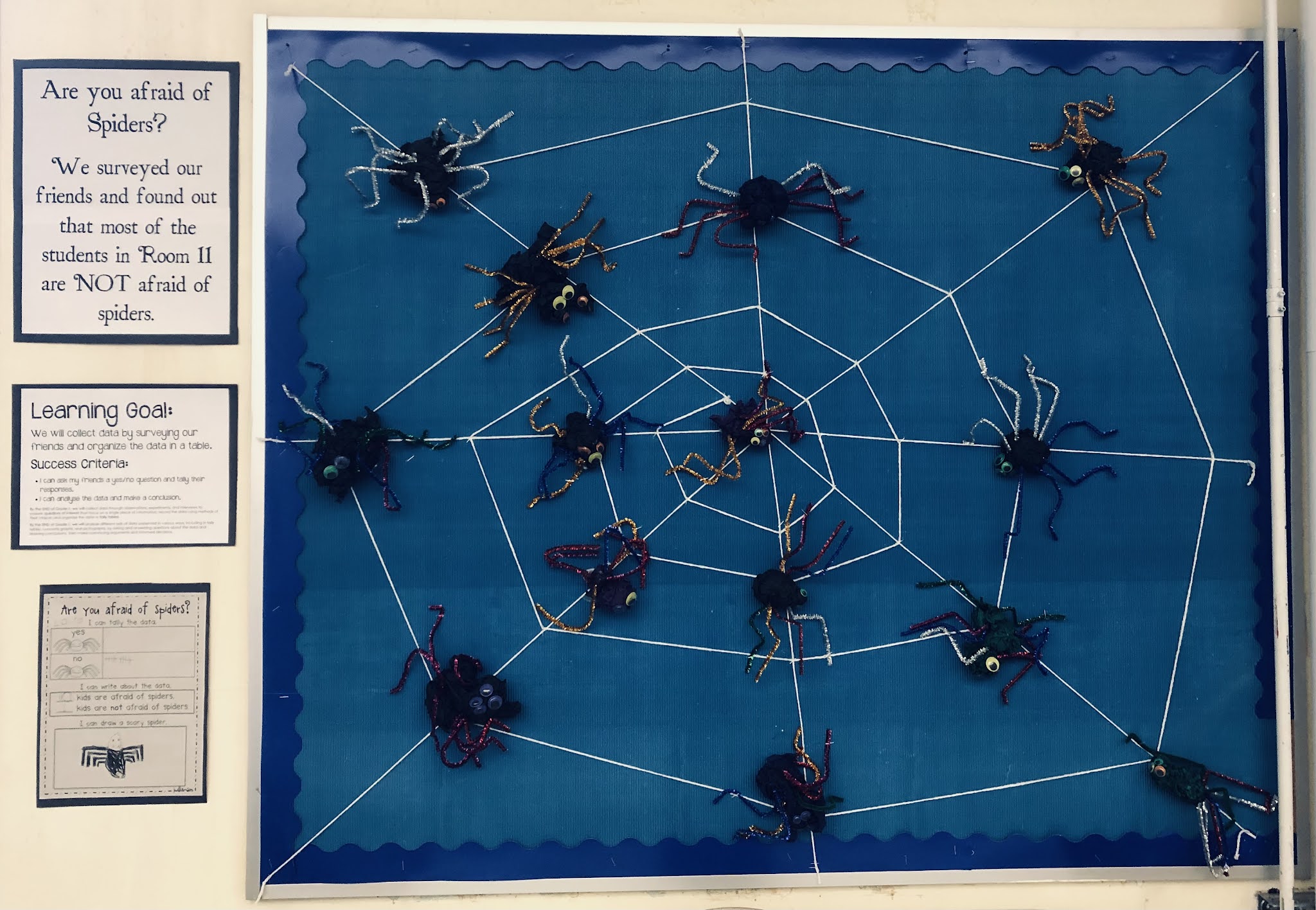 ms. brown's classroom: Are You Afraid of Spiders?