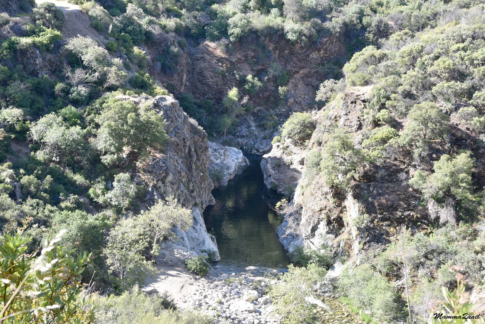 Mamma Quail Hiking California : The Gorgeous Gorge of Arroyo Seco