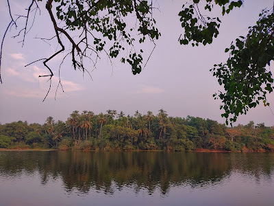 Random Scribbling: Anekere and Ramasamudra Lake - Karkala