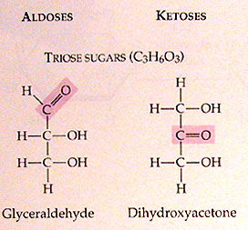 Carbohydrates Classification , Structure , Sources With Example
