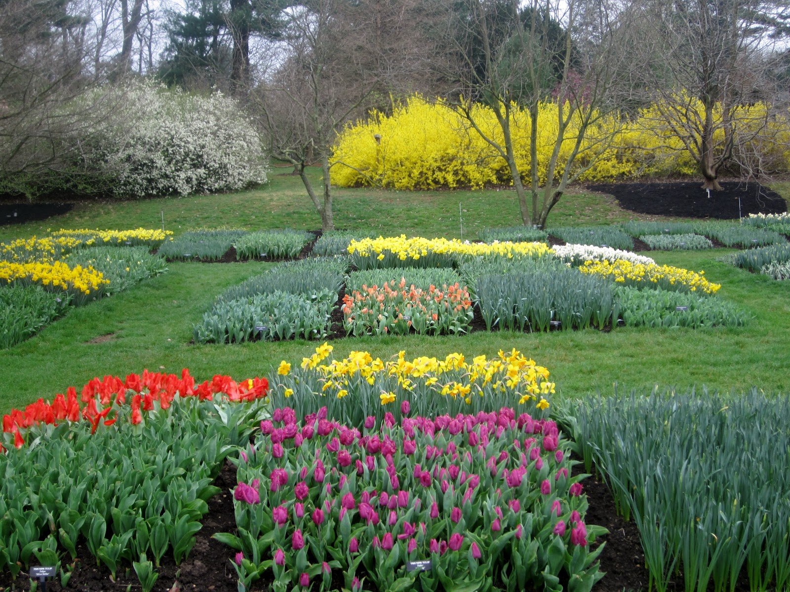 WeedsNWildflowers: Longwood Gardens Spring Day, Part 2