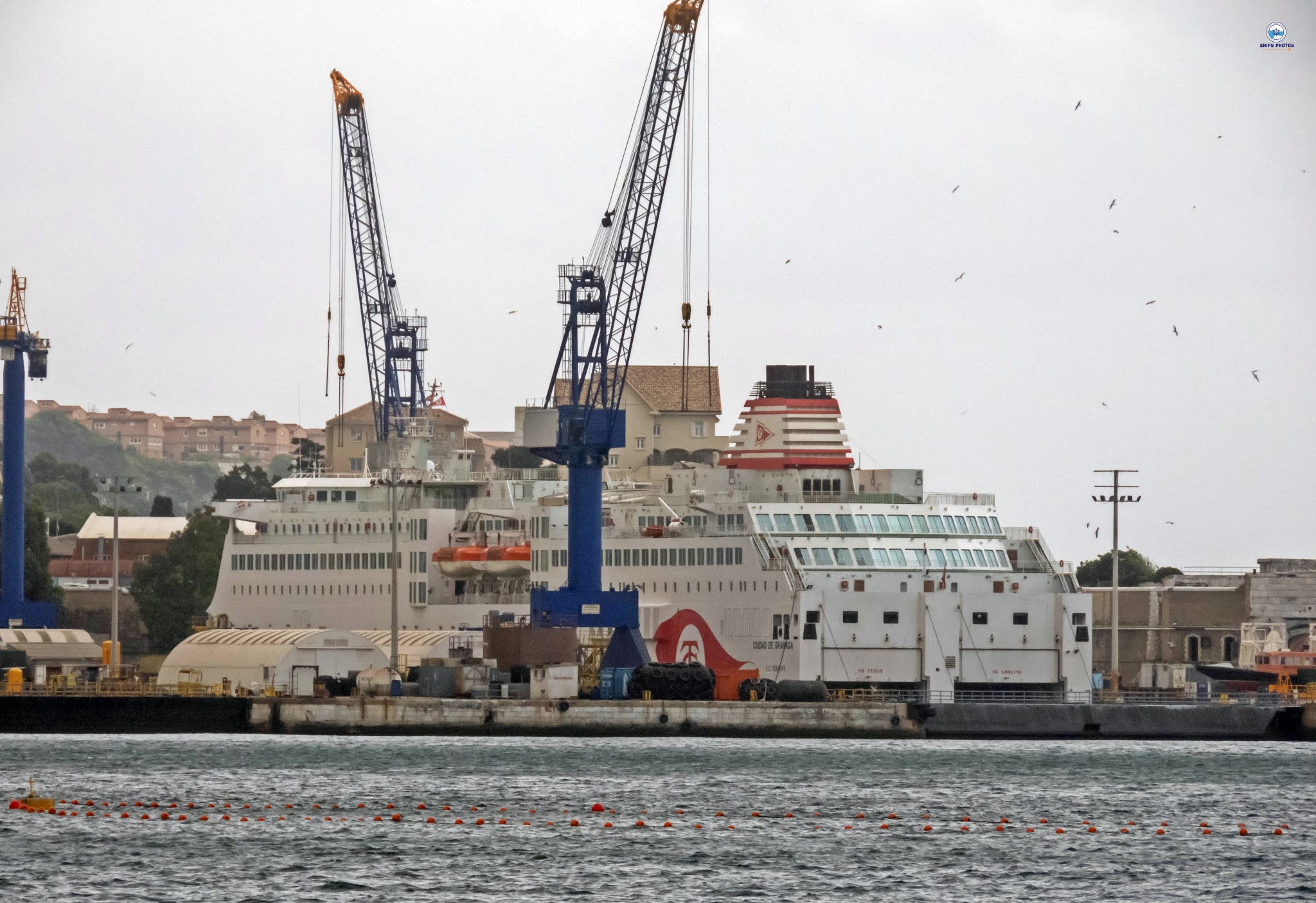 FERRYBALEAR: El "Ciudad de Granada" en breve de Grimaldi en Gibraltar