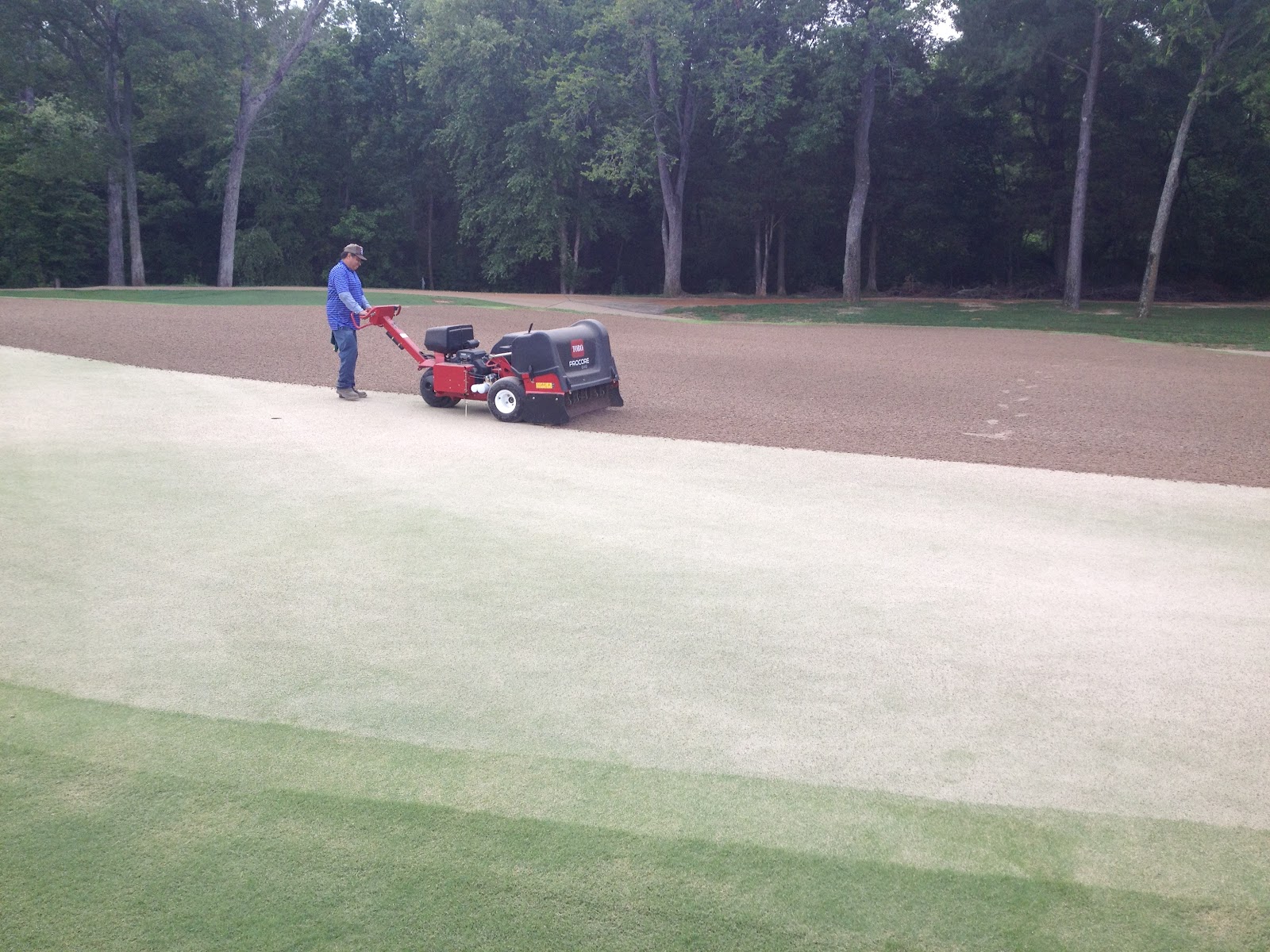 Hollytree Country Club Golf Course Maintenance: Greens Aerification