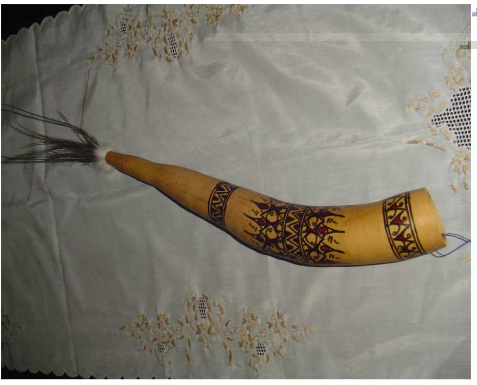 Beautiful of Indonesia: "Koteka" is the traditional dress the island of ...