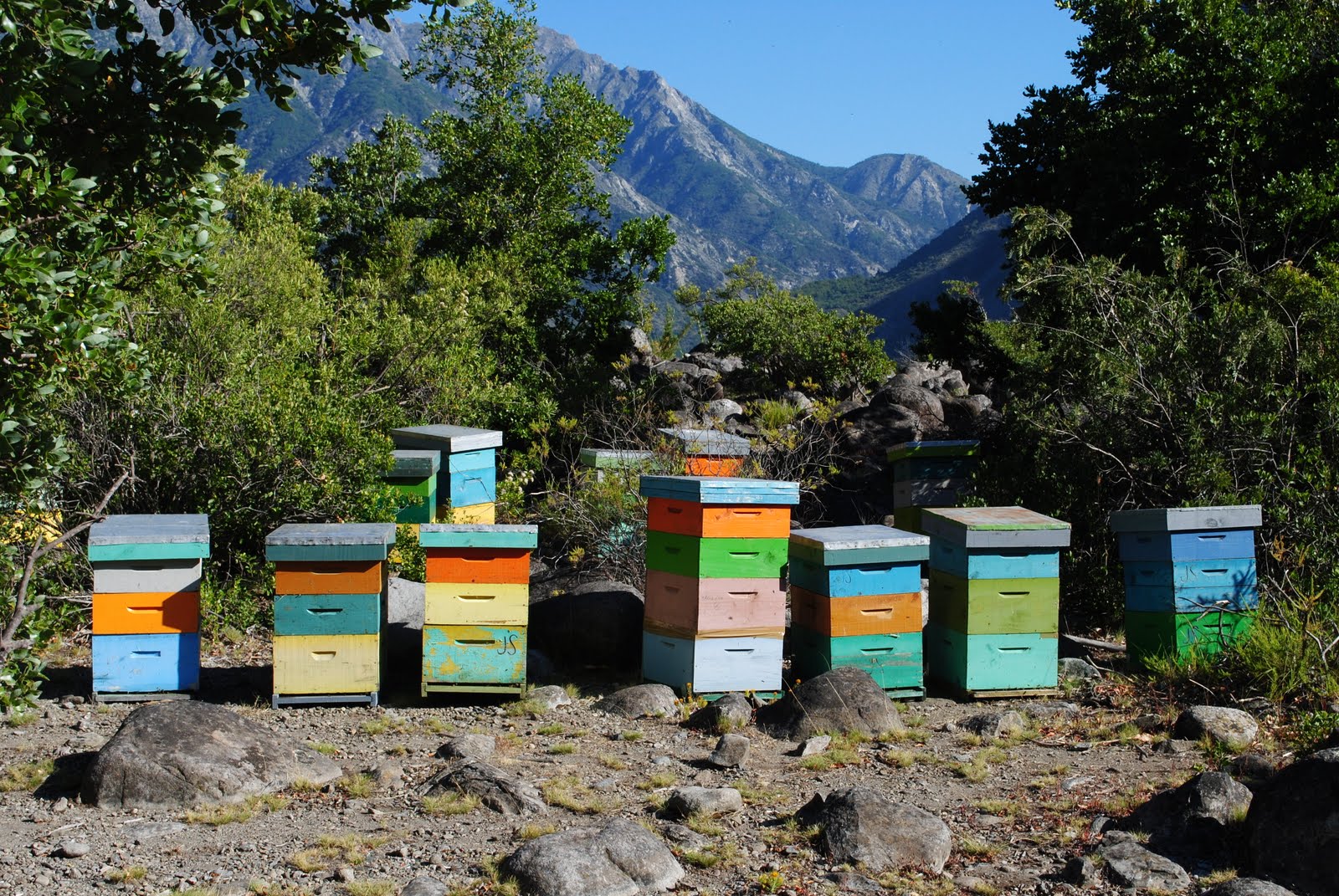 Struan and Anna in Chile: Good times in the Chilean heartlands (Part 2 ...