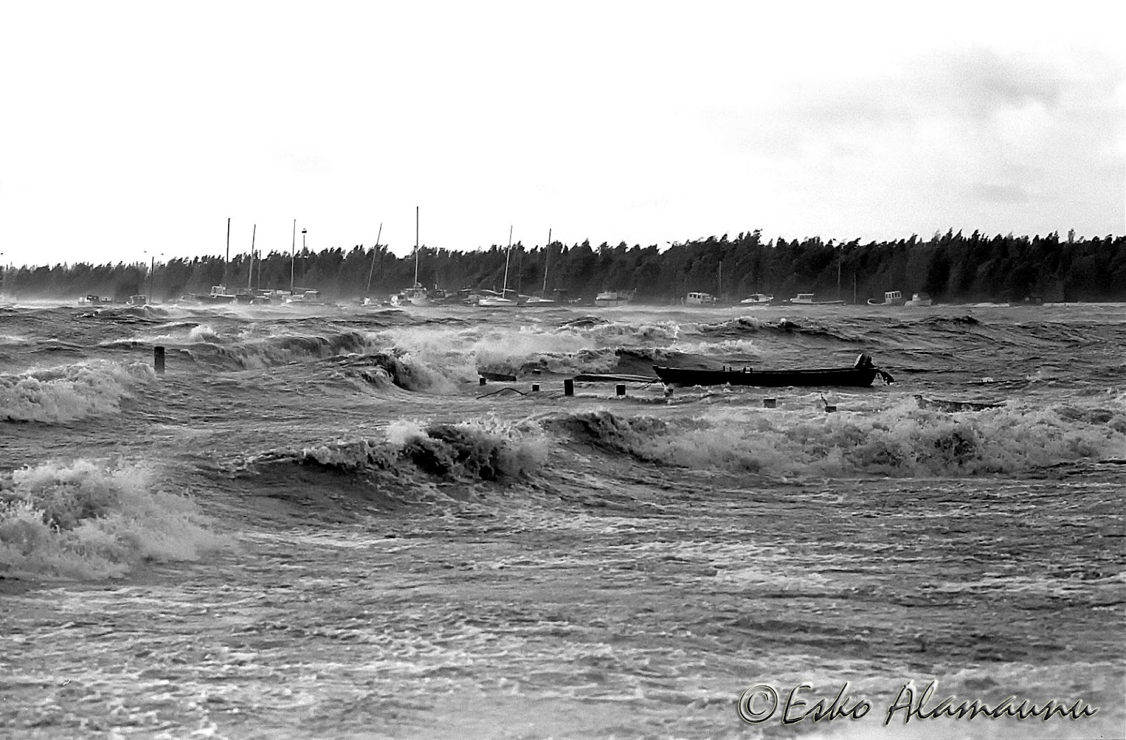 Eko-Kuvia: MAURI-MYRSKYSTÄ 30-vuotta...