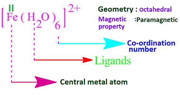 Geometry and magnetic properties of [Fe (H2O)6]2+ion - CHEMSOLVE.NET