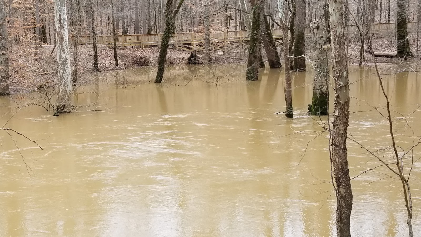 Parks and Paths: Mammoth Cave Sink Trail, Echo River Spring Tail, and ...