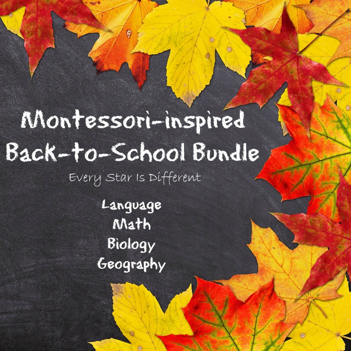 Every Star Is Different: Montessori-inspired Back-to-School Bundle
