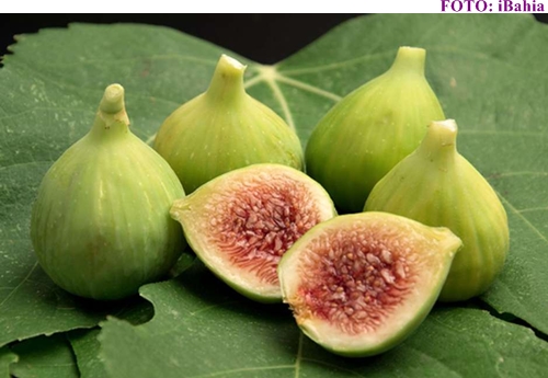 Innaldo Sardinha: GOSTOSO E NUTRITIVO: CONHEÇA SETE BENEFÍCIOS AO ...