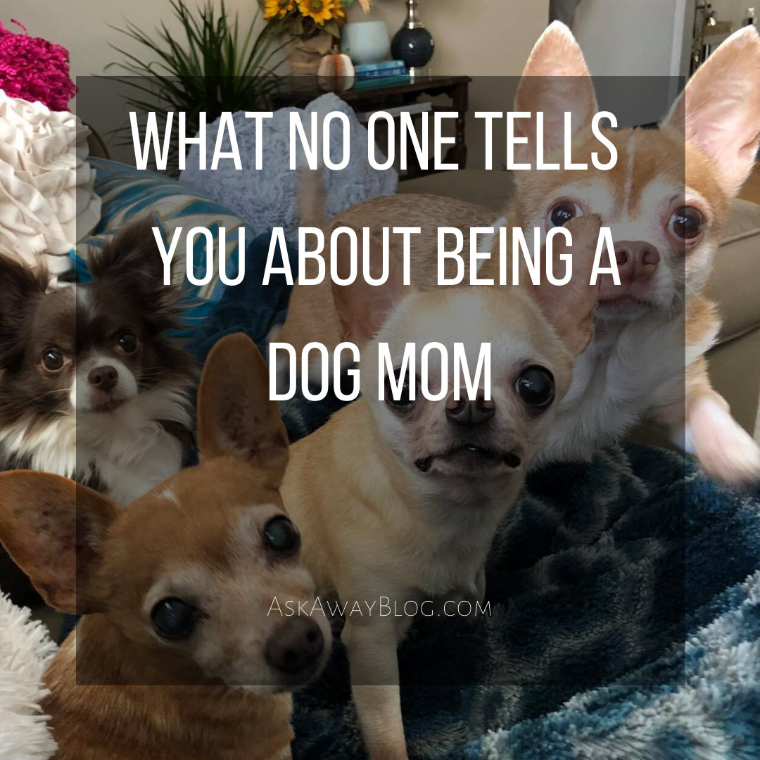 Ask Away Blog: What No One Tells You About Being A Dog Mom