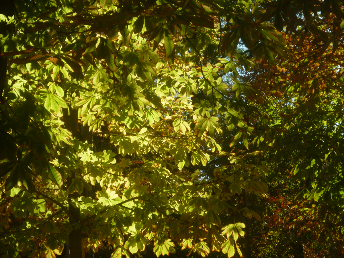 Corriente Textual: julio 2016