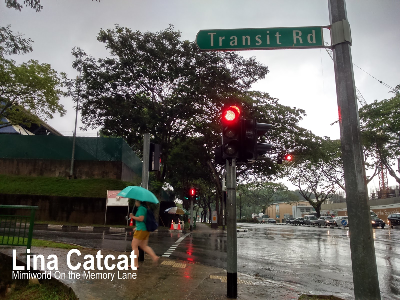 Mimiworld On the Memory Lane: Transit Road in its Last Call