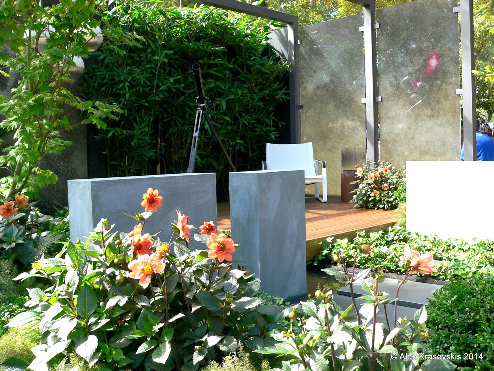 Aggregata Plants & Gardens: Melbourne International Flower & Garden ...