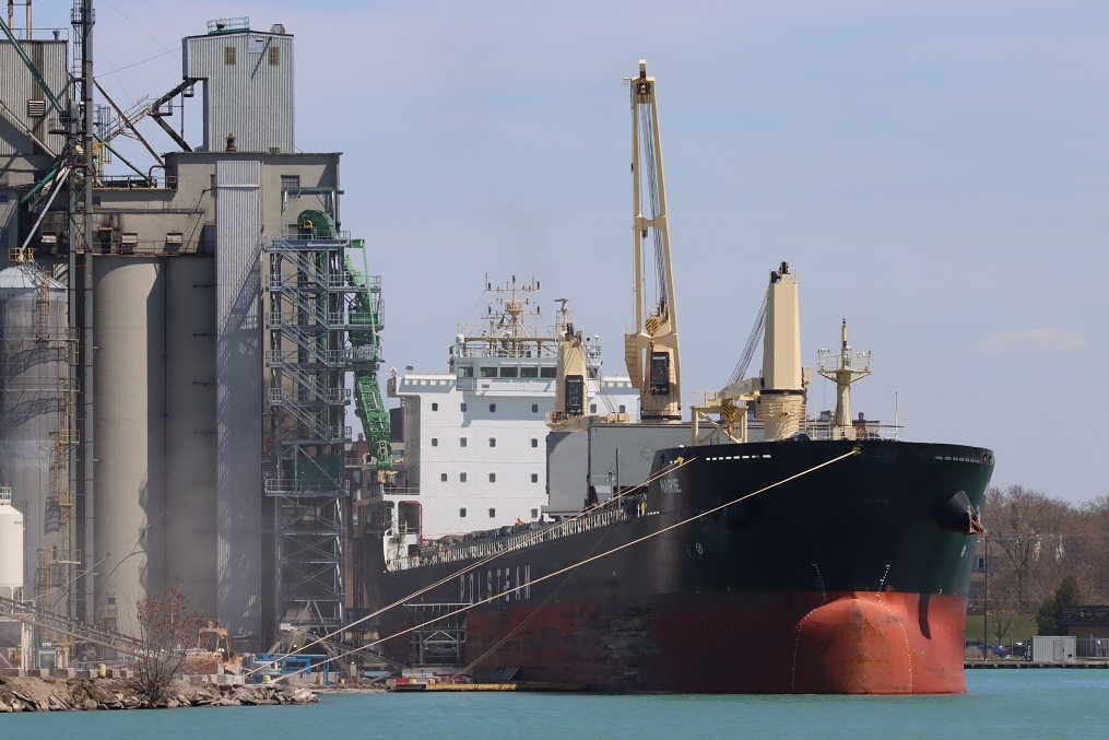 Michigan Exposures: The Narie Unloading in Sarnia