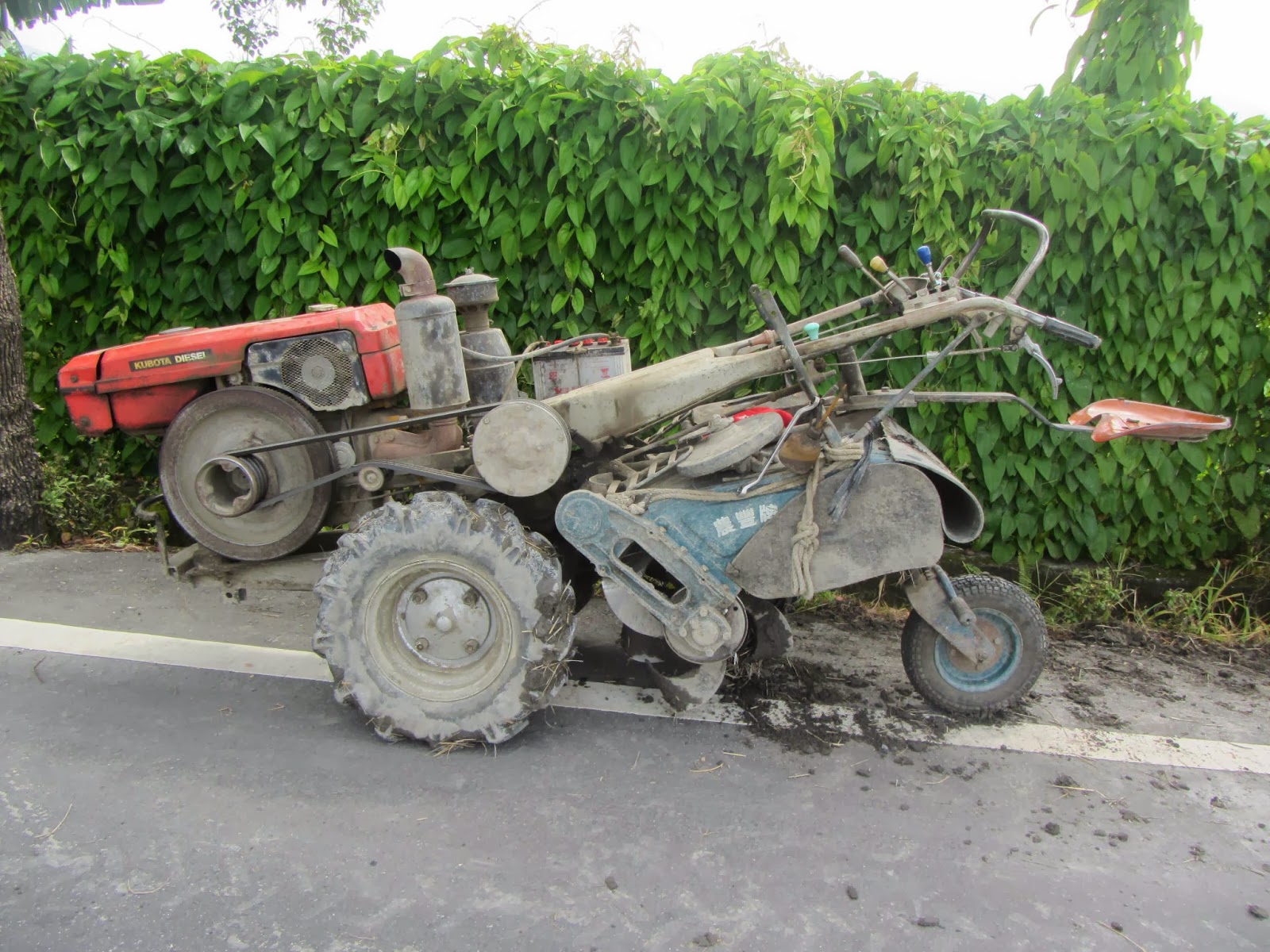 Estudiando Agricultura en Taiwán: Monocultores y rotocultores