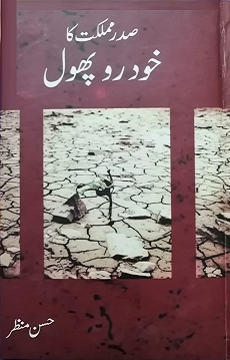 Hasan Manzar : Books