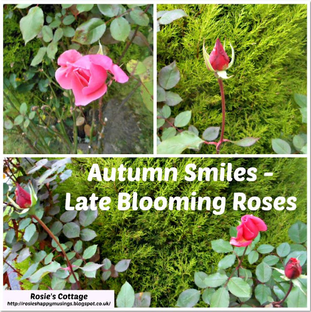 Rosie's Cottage: October 2015