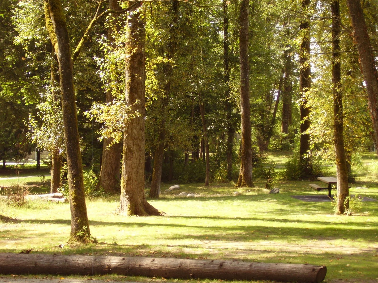 eicuthbertson's Book Blog: Cameron Library - My Burnaby Library Project