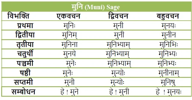 Muni shabda roop in Sanskrit