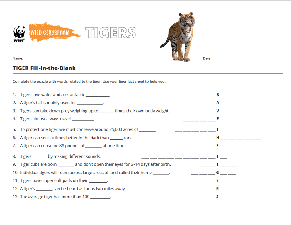 Animals Word Puzzle Learning Materials Free Download