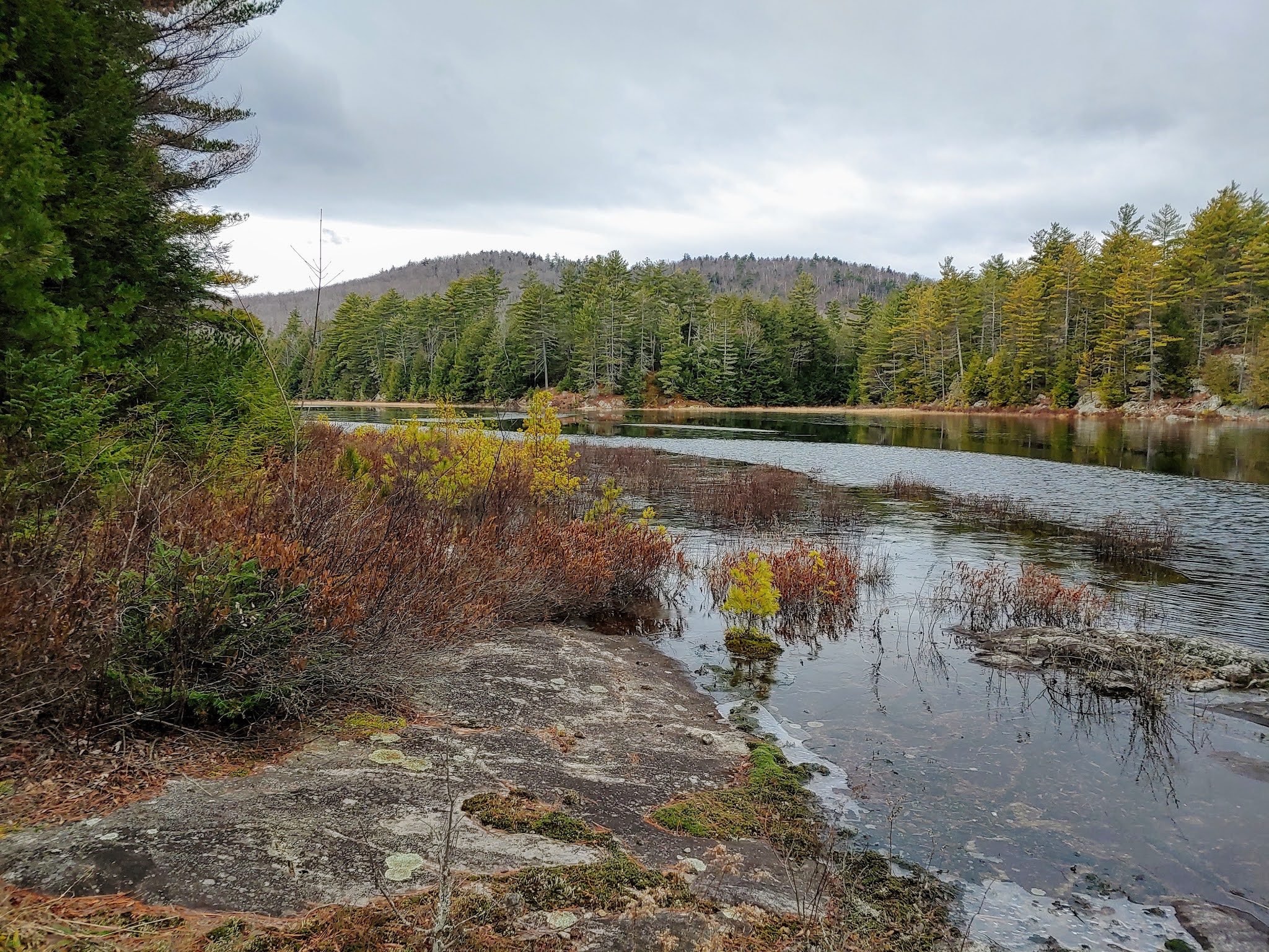 Off on Adventure: Tub Mill Pond - Hammond Pond Wild Forest - 12/4/2020