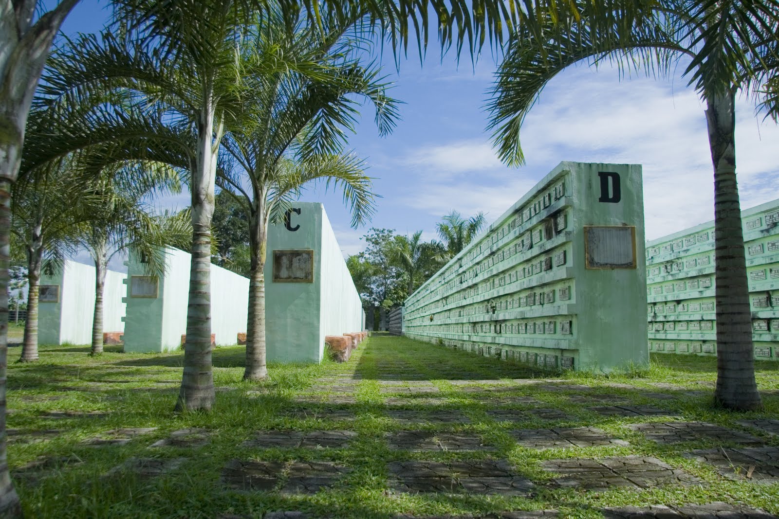 Tagum Snapshots: A GLIMPSE OF TAGUM CITY