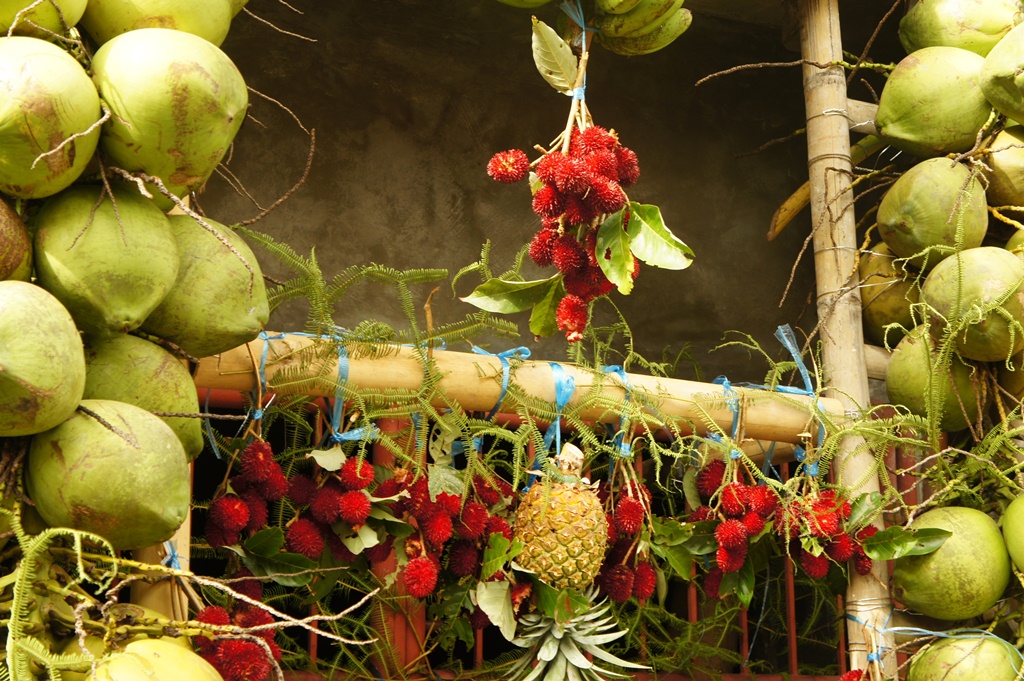 OUR PHILIPPINE TREES: Pahiyas First Time or Nth Time Makes No Difference