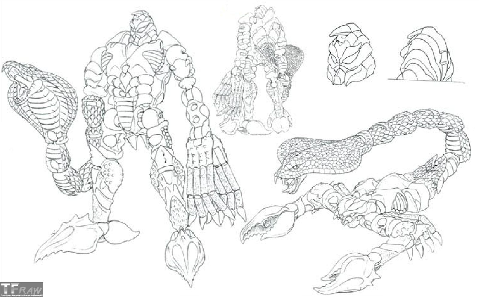 Beast Wars Character Designs