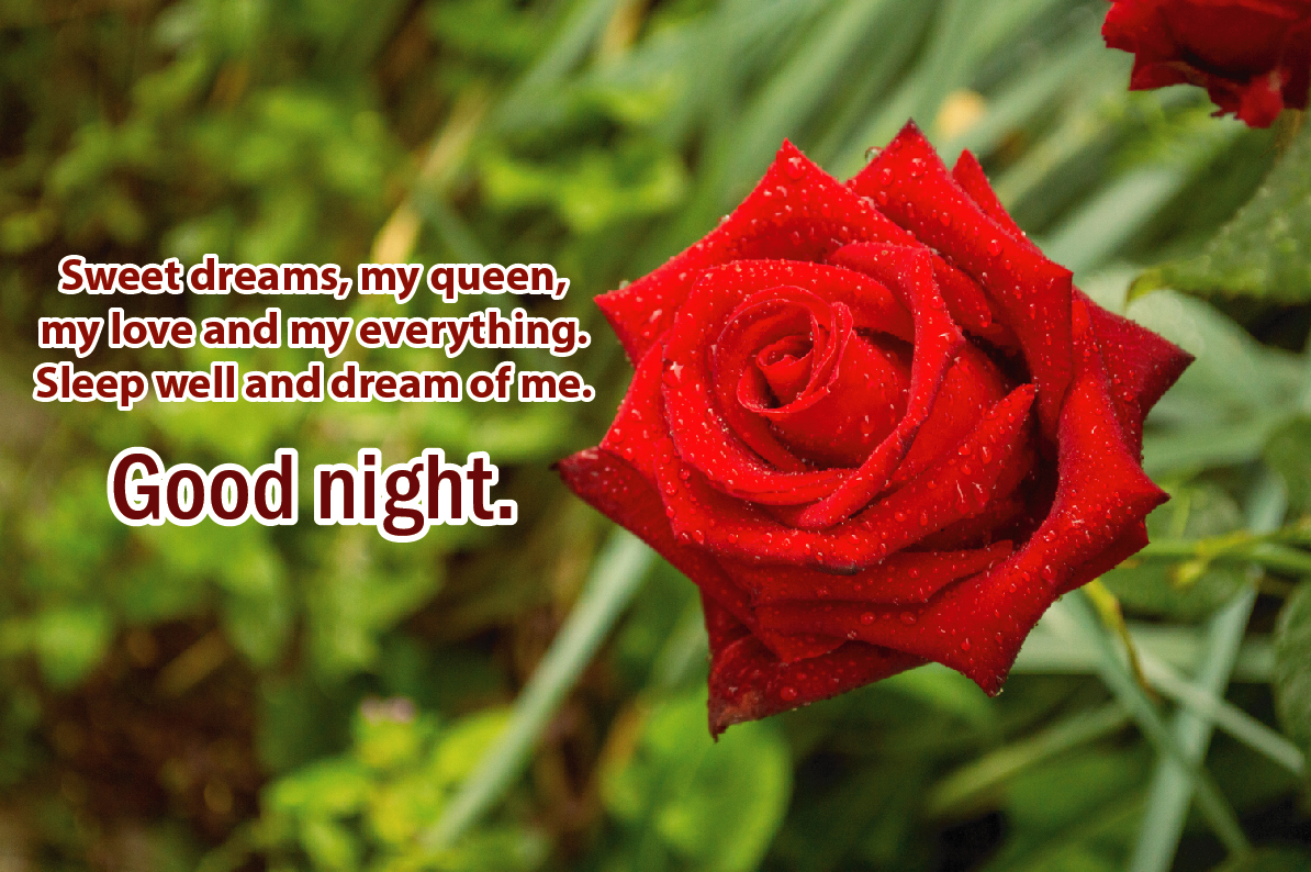 Good Night Messages, Wishes and Quotes – Good night Wishes SMS