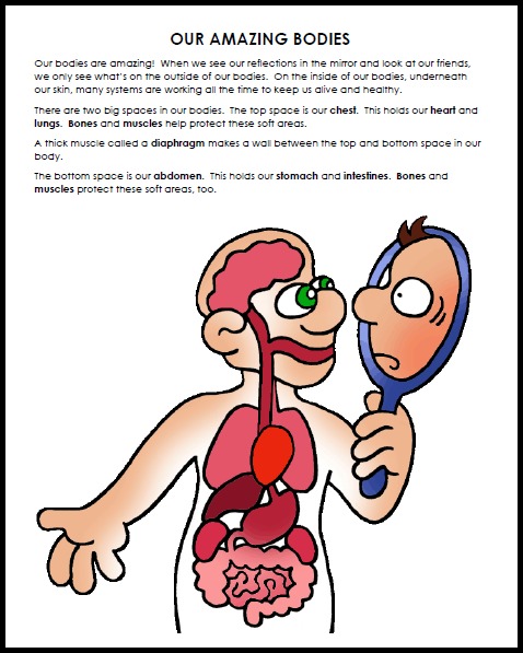 Kindergarten: Holding Hands and Sticking Together: Healthy Body ...