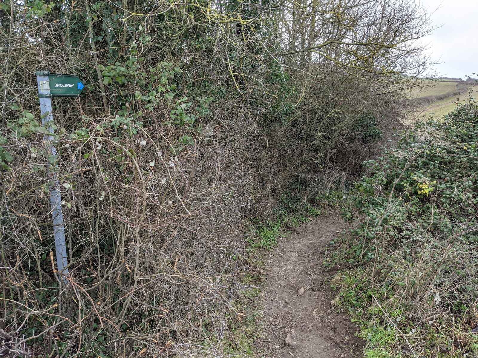 The Ridgeway (Or Icknield Way) #4: Lewknor to Goring