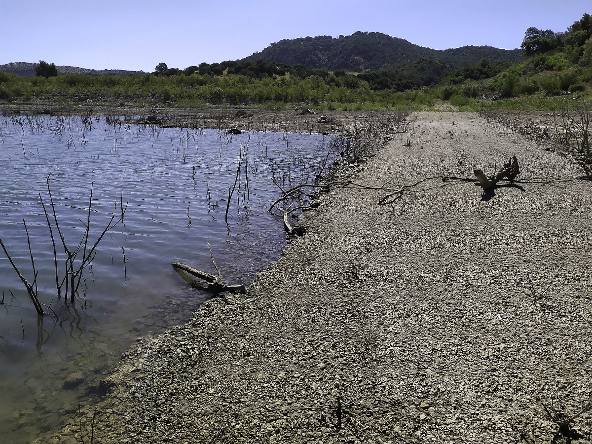 .: MANANTIAL Y CANAL DEL TEMPUL (SAN JOSÉ DEL VALLE)(06JUN2019)