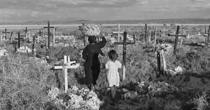 Film Walrus Reviews: Film Atlas (Venezuela): Araya